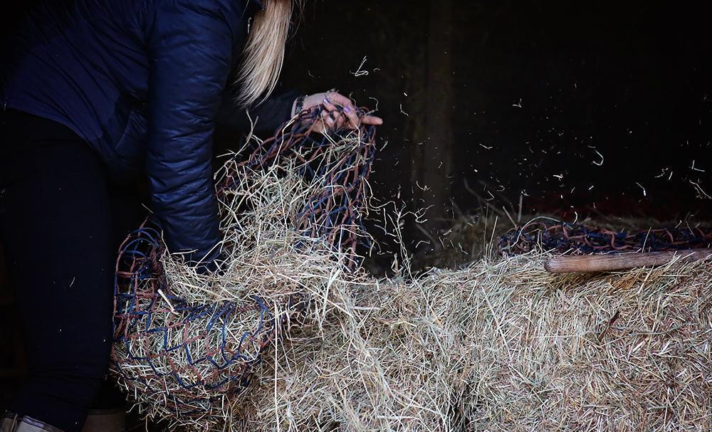 Stable Dust: Measuring What You Can't See - Haygain Hay Steamers