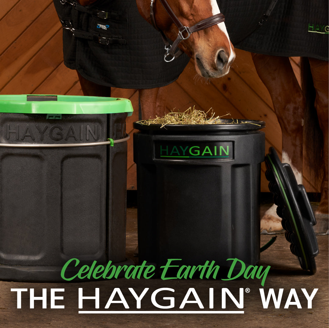 Haygain Can Help Lessen Our Horse’s Environmental Hoof Print - Haygain ...