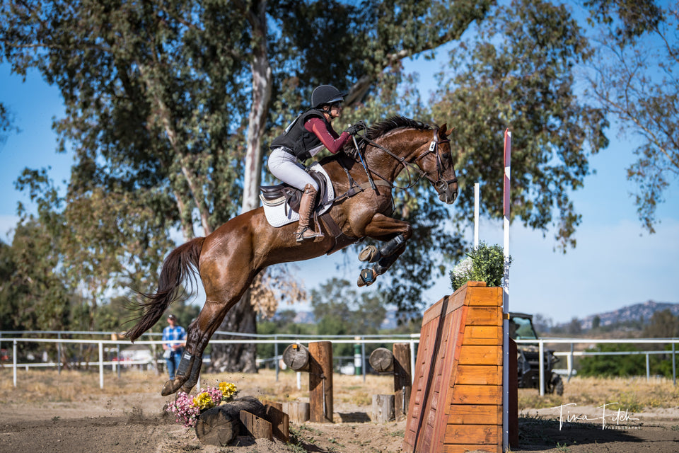 Steamed Hay helps three horses with three different health challenges ...