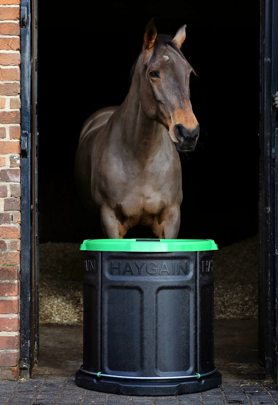 Bringing Nature's Genius to Horse Management: Haygain's Forager ...