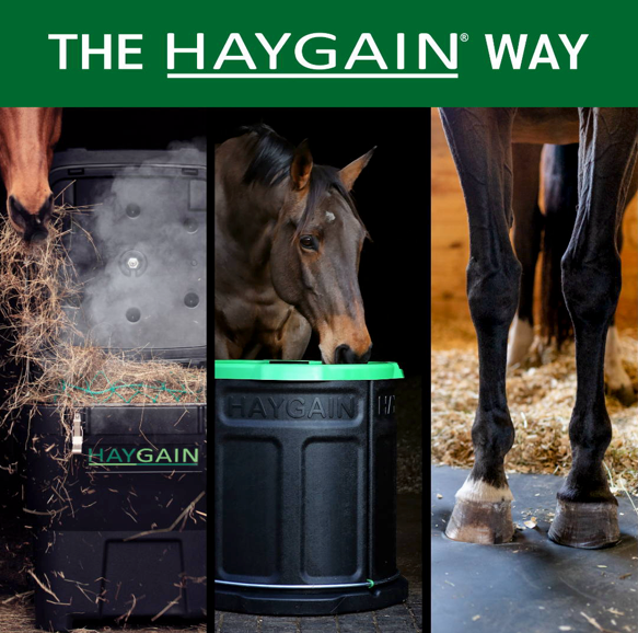 Understanding The Haygain Way: Revolutionizing Modern Horse Management ...