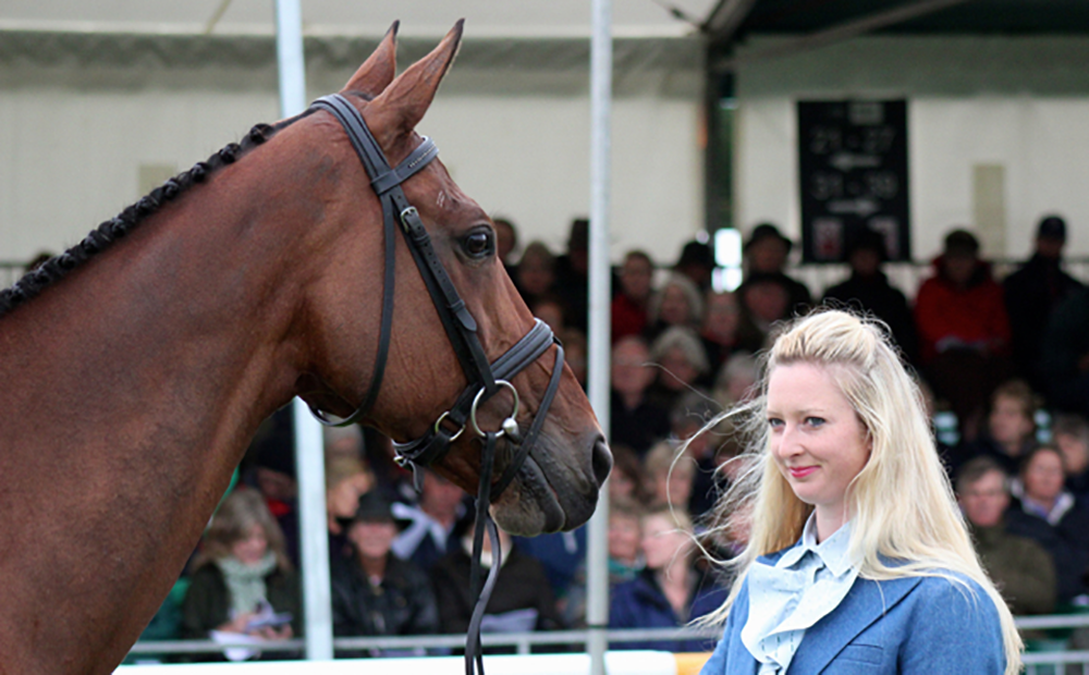 Top travelling tips from top riders! - Haygain Hay Steamers