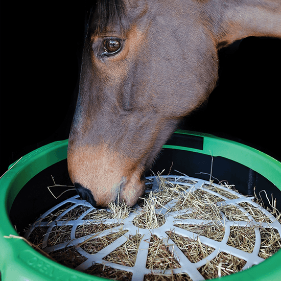 The Haygain Forager - Haygain Hay Steamers